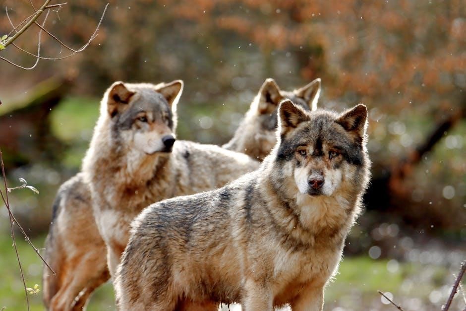 Download "The Wolves" by Sarah Delappe PDF | Free Play Script
